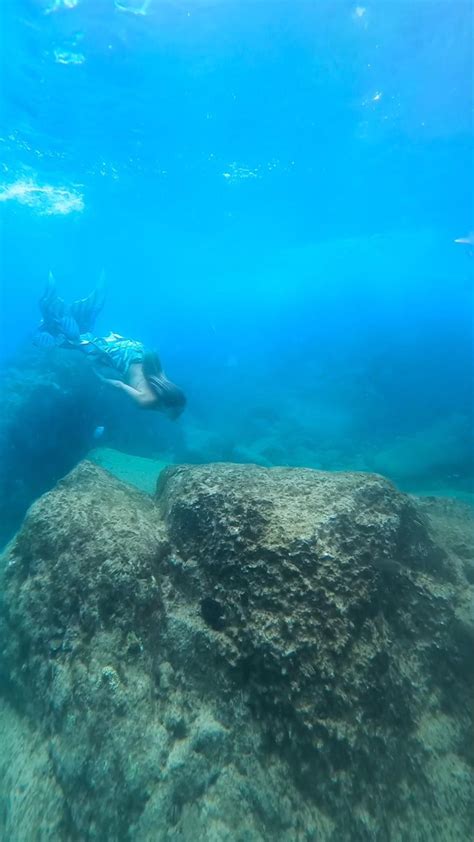 Sereias Existem Avistada Em Fernando De Noronha Tropical Beach