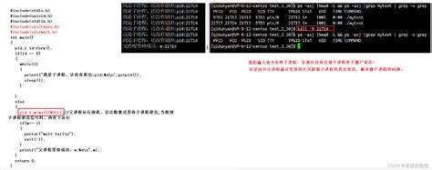 【linux】进程控制 创建、终止、等待 linux 创建进程 避免等待 csdn博客