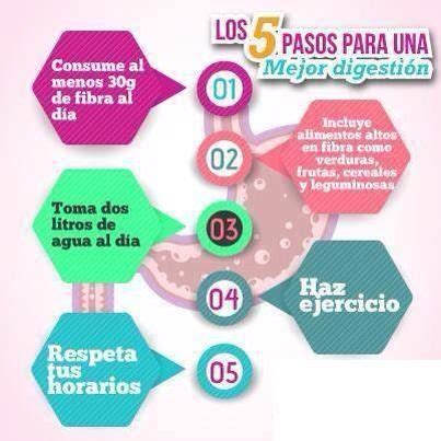 Cinco Pasos Para Una Buena Digesti N Alimentos Altos En Fibra Te
