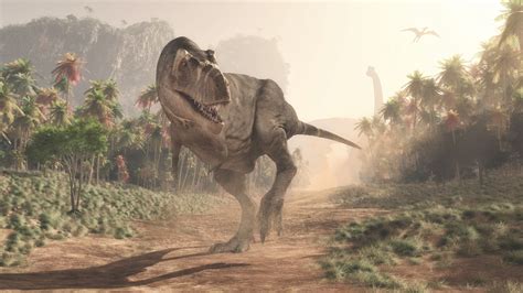 Tyrannosaurus Rex Steckbrief 8 Merkmale Des Dinosauriers