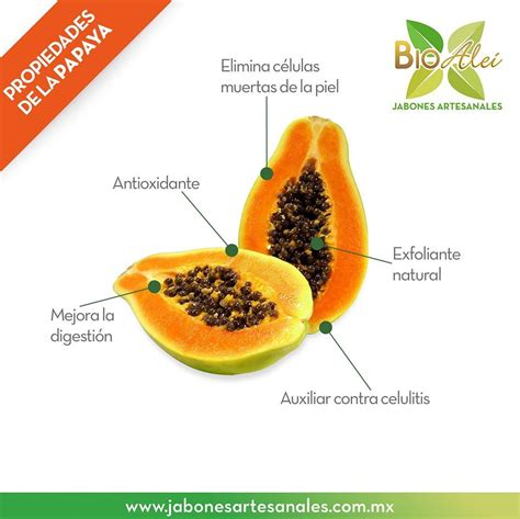 Propiedades De La Papaya BioAlei Jabones Artesanales Antioxidantes