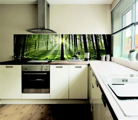 küchenrückwand aus glas mit motiv de haus