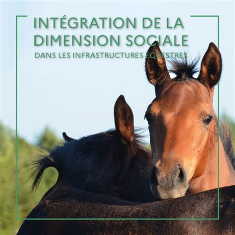 Journ E D Informations Techniques Int Gration De La Dimension Sociale
