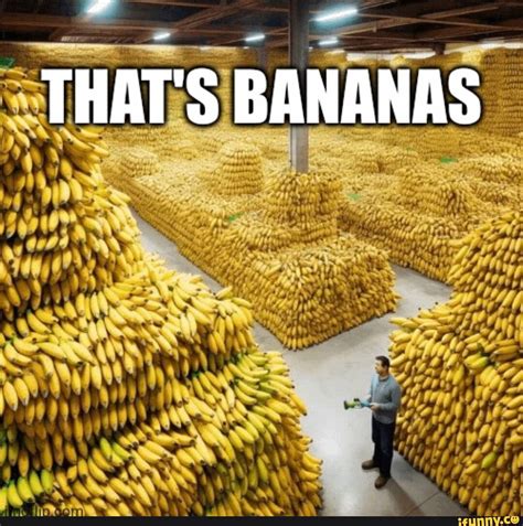Picture Memes Jt Hviywa By Ace Of Taste Comments Ifunny Anti