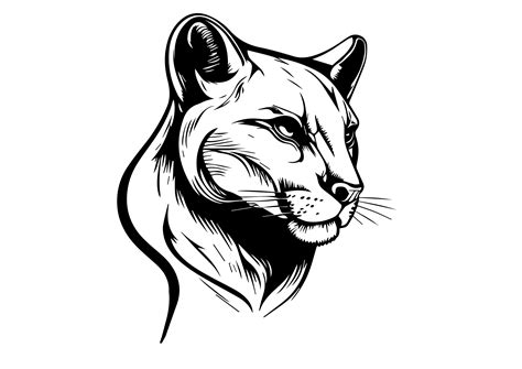 COUGAR HEAD SVG Cougar Clipart Cougar Head Svg Cut File For Etsy