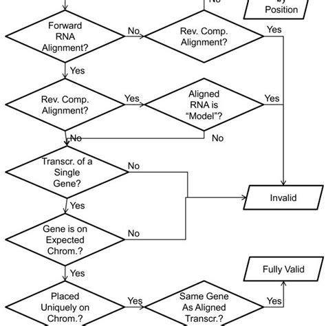 Flowchart Showing The Process Described In Methods Used To Validate A