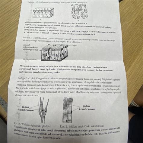 Biologia karta pracy tkanki zwierzęce Brainly pl