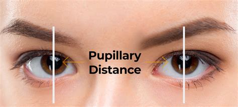 What Is Pupillary Distance SmartBuyGlasses IE