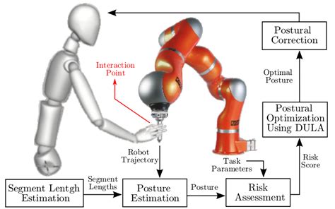 ergonomically intelligent physical human robot interaction postural estimation assessment and