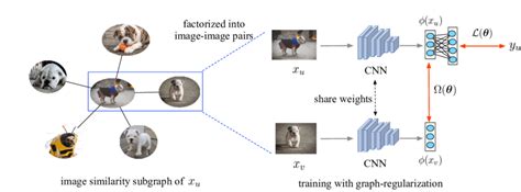 an illustration of a graph regularized neural network the image download scientific diagram
