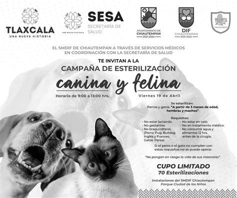 Sistema Municipal DIF en coordinación con la SESA realizarán campaña de