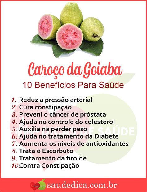 Os 10 Benefícios da Goiaba Para Saúde Benefícios da goiaba Saúde e