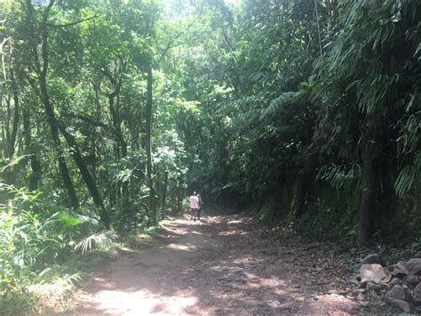 Parque Nacional do Itatiaia Parte Baixa em Itatiaia RJ Áreas