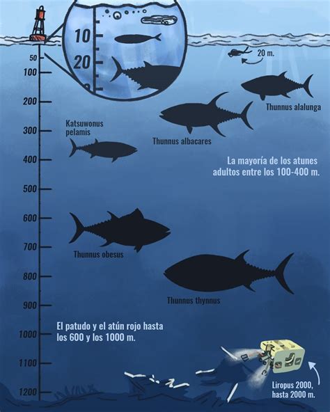 Descubre los increíbles animales de las profundidades marinas Fondomar