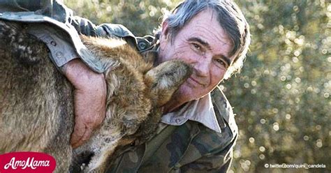 Historia De Un Mowgli Real Hombre Vivi Por A Os Con Manada De Lobos