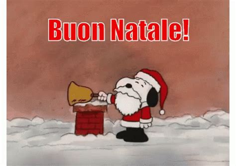 Buone Feste 2024 Arriva La Vigilia Di Natale I VIDEO Per Gli Auguri