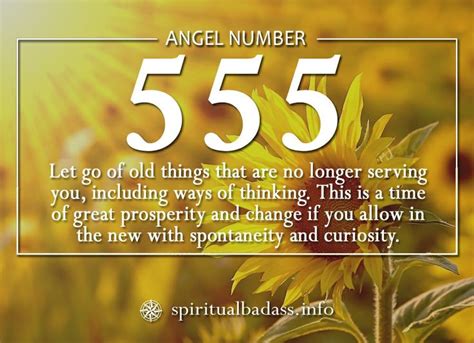 Angel Messages Angel Cards 555 Angel Numbers Angel Princess Number