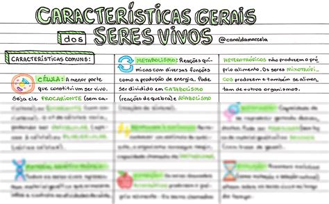 SOLUTION Biologia Caracter Sticas Gerais Dos Seres Vivos 1 Studypool