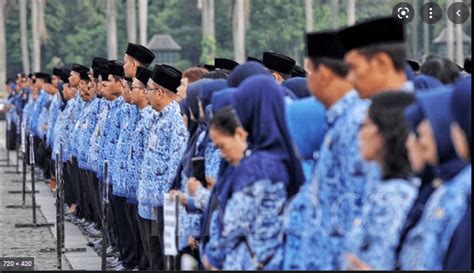 Kabar Gembira Honorer Yang Tercatat Di Database Bkn Langsung Diangkat
