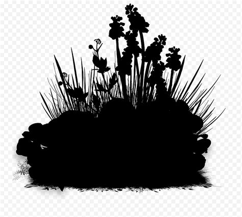 Hierba Computadora Silueta Negro M Planta Blanco Y Negro Png