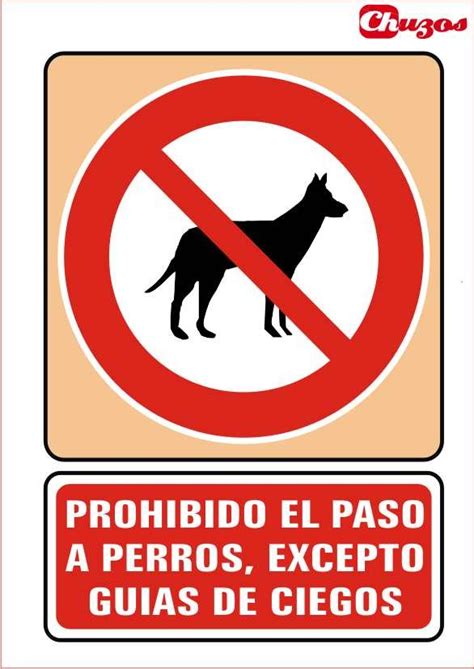 Lluvia Alimentar Melanc Lico Se Al Prohibido Mascotas Absorber Sufijo