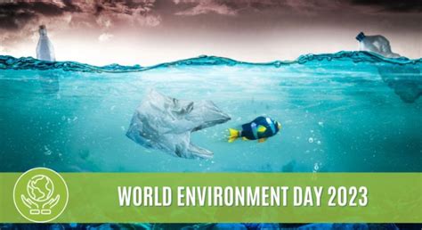 Giornata Mondiale Dell Ambiente 2023 BeatPlasticPollution PQA