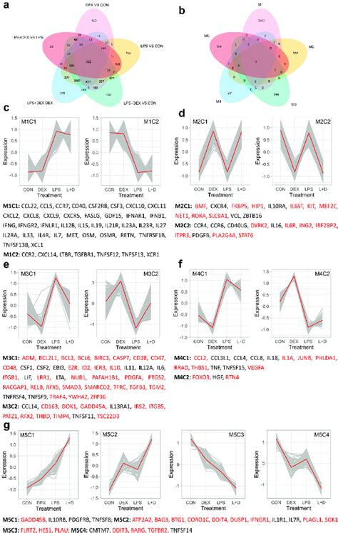 Functional Modules And Gene Expression Patterns A Venn Diagram