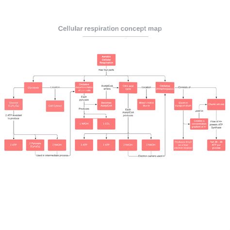 Practice Cellular Respiration Concept Map SexiezPicz Web Porn