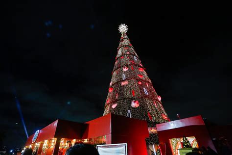 Parque Villa Lobos recebe árvore de Natal atrações gratuitas