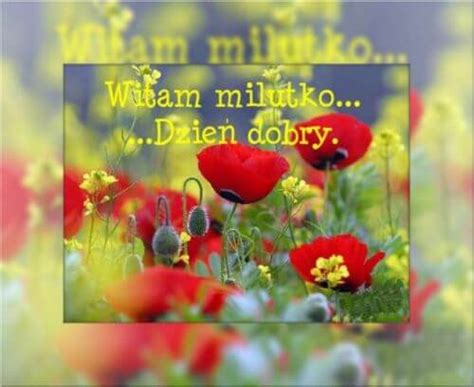 Ekartka Witam milutko dzień dobry E kartki net pl
