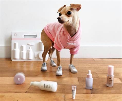 Skincare para iniciantes 4 passos básicos para começar a cuidar da