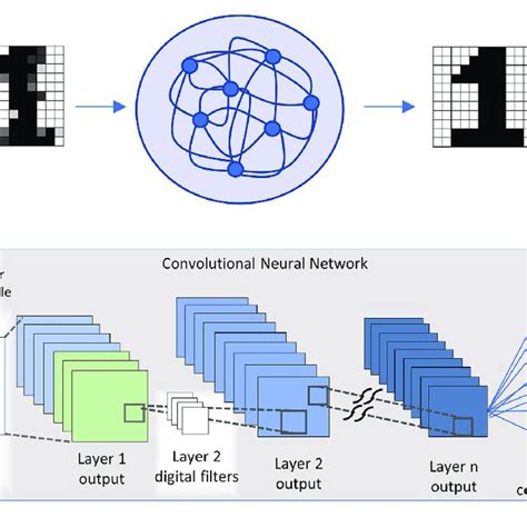 a image inference process in an oscillatory neural network b download scientific diagram