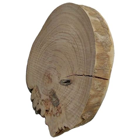 Bolacha Madeira Tronco Rustica Aparada 30 X 25 X 5cm MadeiraMadeira