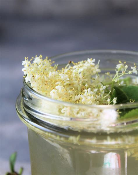 Recept Nedelje Sok Sirup Od Zove Recepti Dnevni List Danas