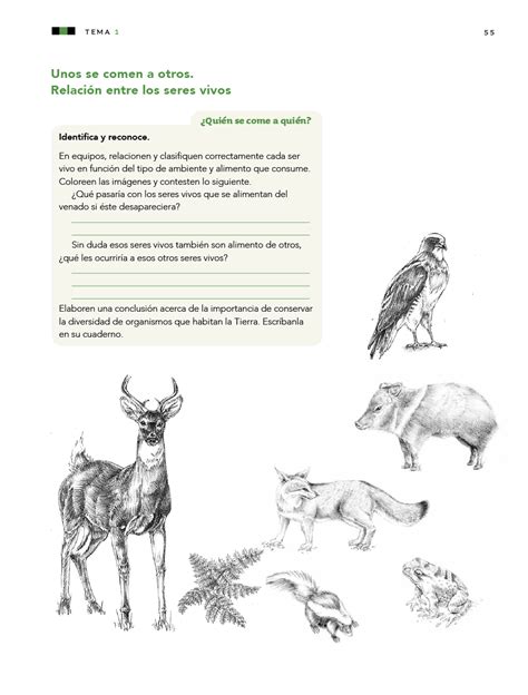 Ciencias Naturales Tercer grado 2017 2018 Página 55 de 154 Libros