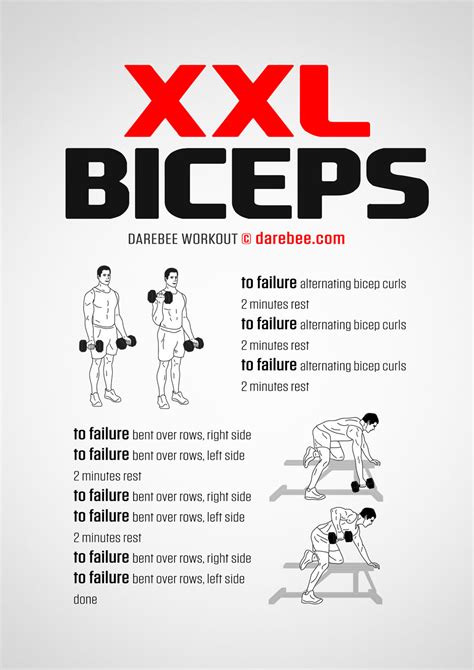Biceps All Workout OFF 73