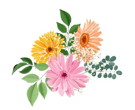 Ramo Floral De La Acuarela Con Los Gerberas Y Las Hojas Stock De