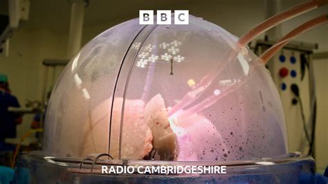 Bbc Radio Cambridgeshire Bbc Radio Cambridgeshire Cromwells Head Is