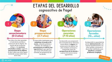 Etapas De Desarrollo De Piaget Etapas Del Desarrollo Desarrollo