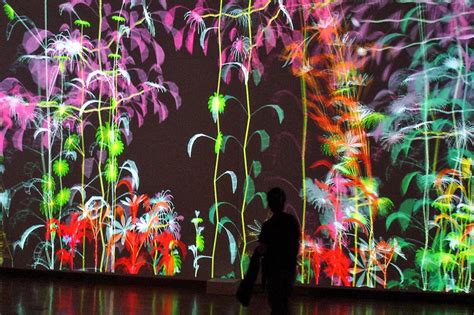 Miguel Chevalier Arts Plastiques Académie de Normandie