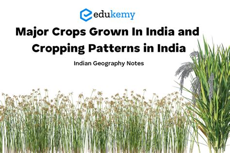 Major Crops In India And Cropping Patterns In India UPSC Indian