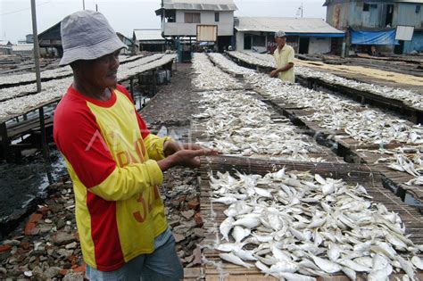 Harga Ikan Naik Antara Foto