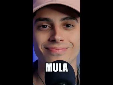 ANIMAIS HÍBRIDOS DE VERDADE YouTube