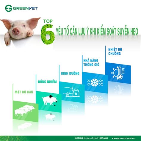 Công Ty Cổ Phần Thú Y Xanh Việt Nam Greenvet Jsc