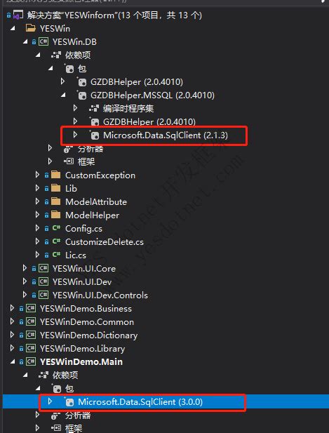 NETCore 运行项目报错Could not load file or assembly YES开发框架网