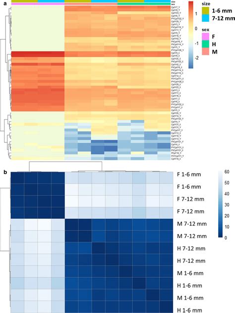 A Scaled Heatmap Of Log2 Normalized Counts For SDR Genes With Different