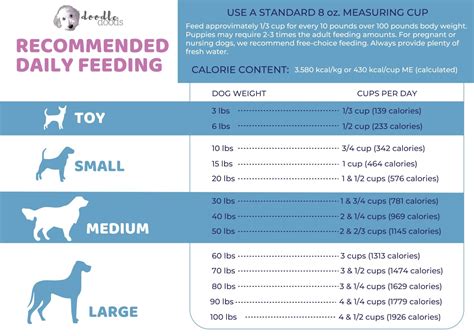 How Often Should 1 Week Old Puppies Eat