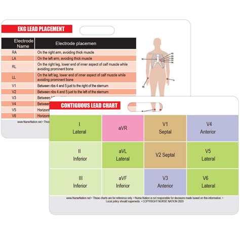 12 Lead Ecg Reference Chart Cardiovascular Nursing Education Associates