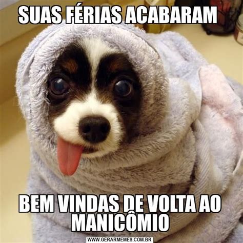 SUAS FÉRIAS ACABARAM BEM VINDAS DE VOLTA AO MANICÔMIO Humor Funny Lol