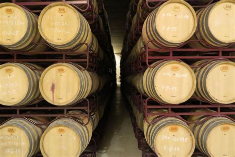 Procesos de elaboración del vino Vinopedia tv